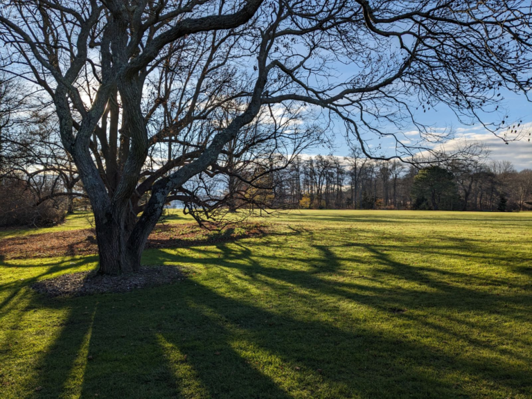 Arbor Day 2024 Bayard Cutting Arboretum