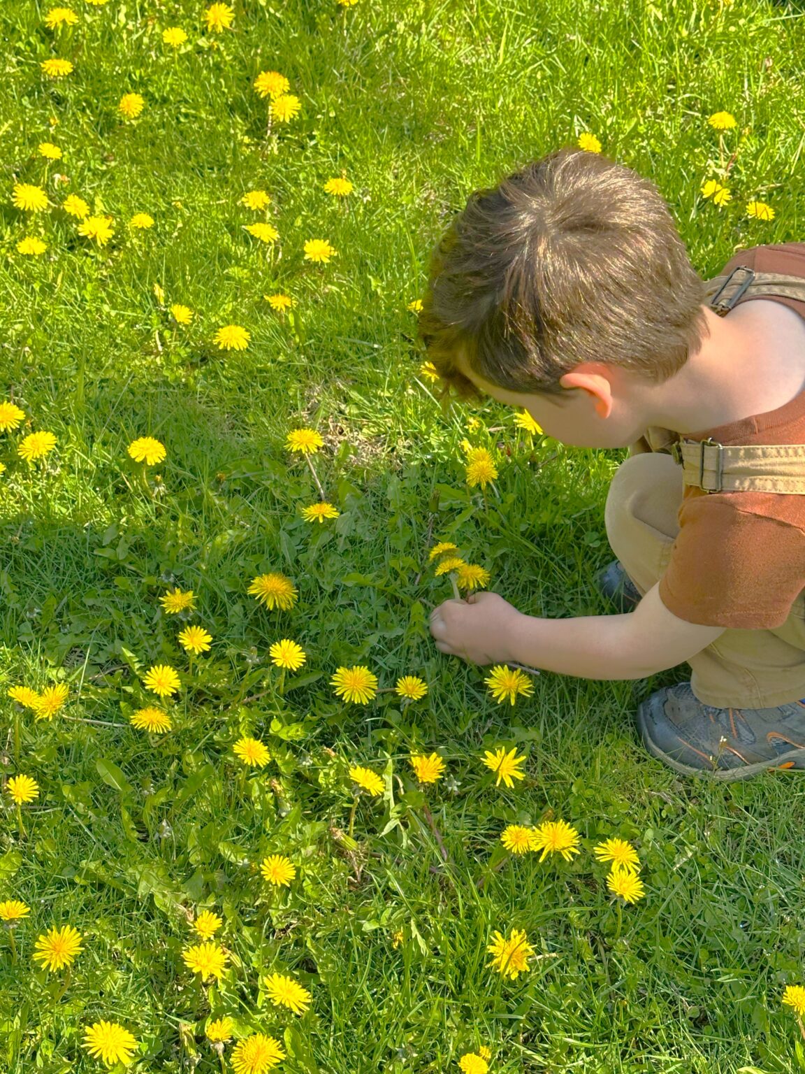 Events for April 2026 Bayard Cutting Arboretum